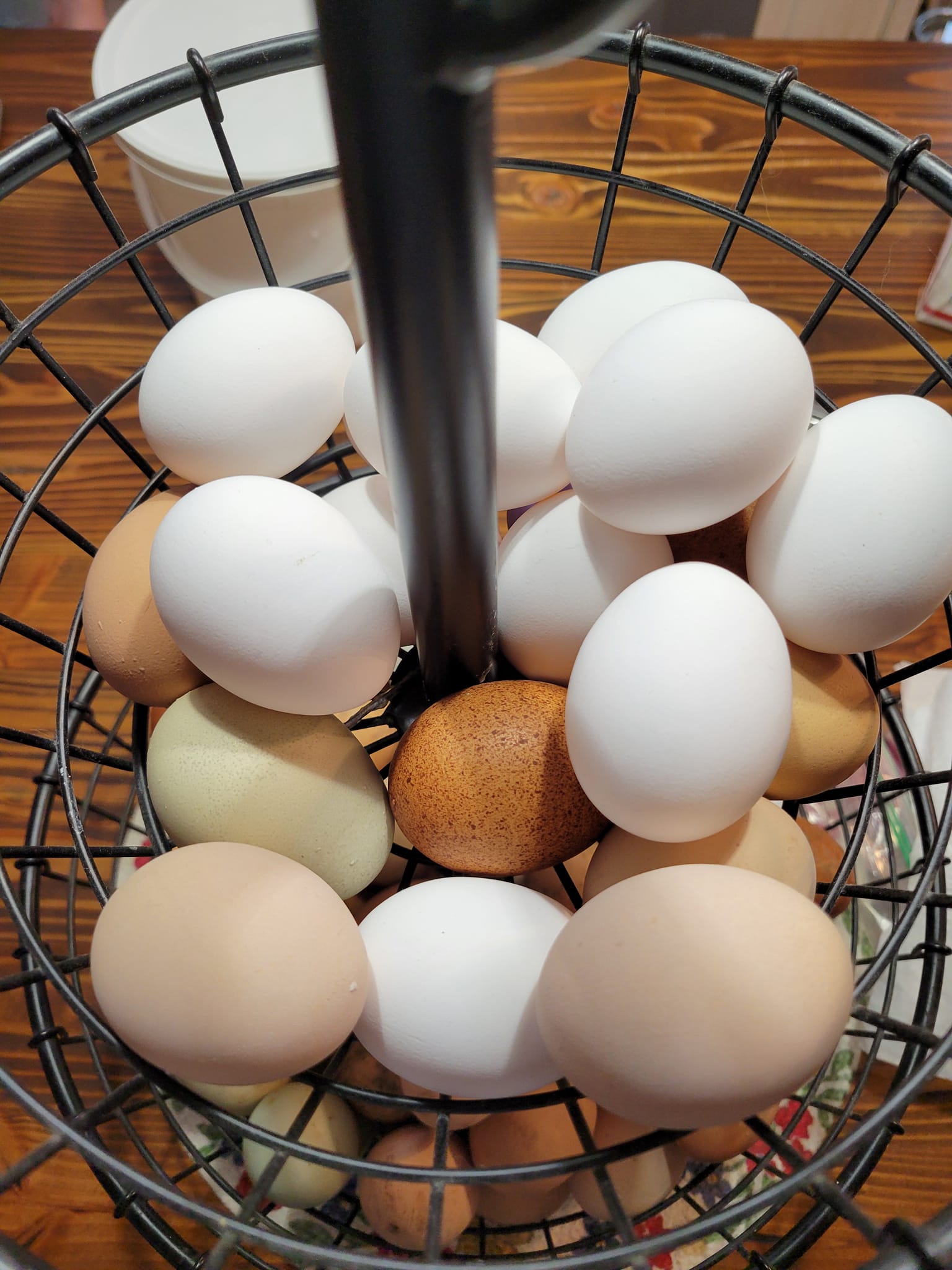Preserving Eggs – RJ Homestead