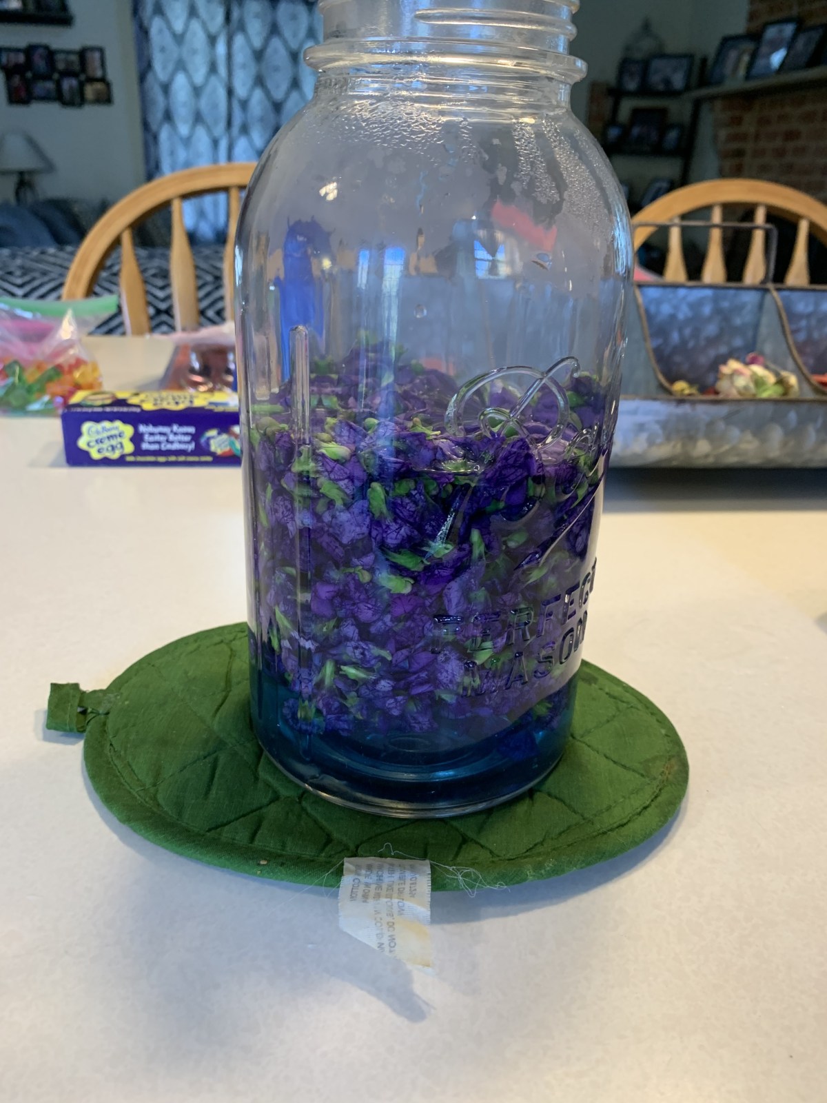 Discovering the Delights of Wild Violets with My Little Explorer – RJ ...