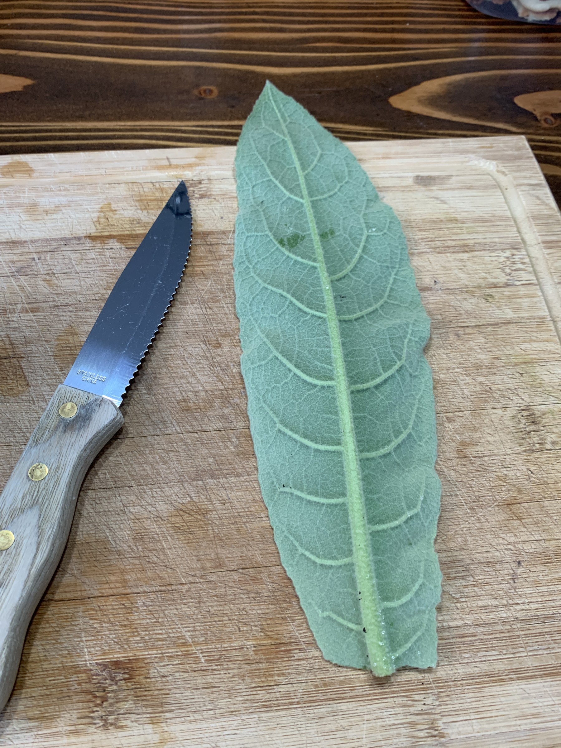 From Seed to Sip: Harvesting Mullein Leaves in Our Orchard – RJ Homestead