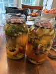 Our Annual Fire Cider Tradition: A Potent Winter Immune Booster – RJ ...