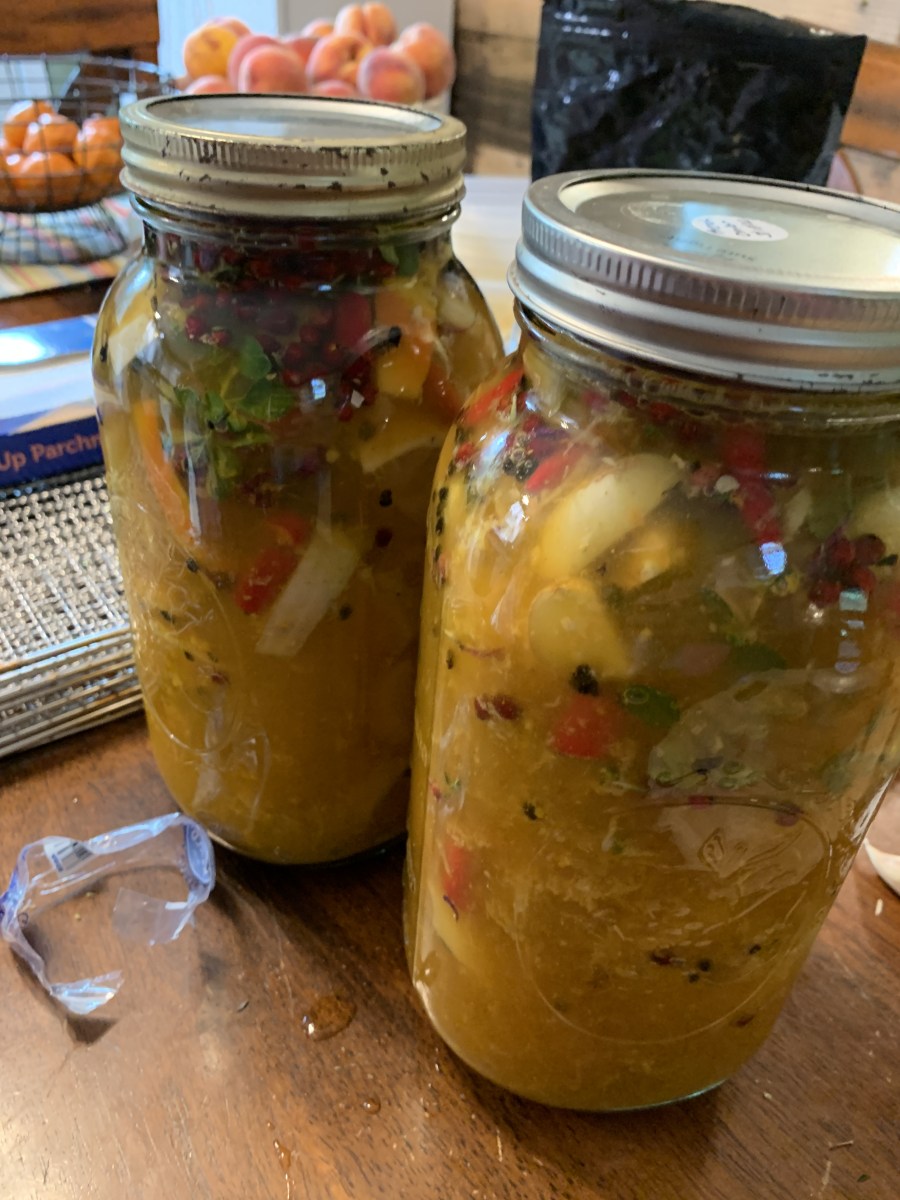 Our Annual Fire Cider Tradition: A Potent Winter Immune Booster – RJ ...