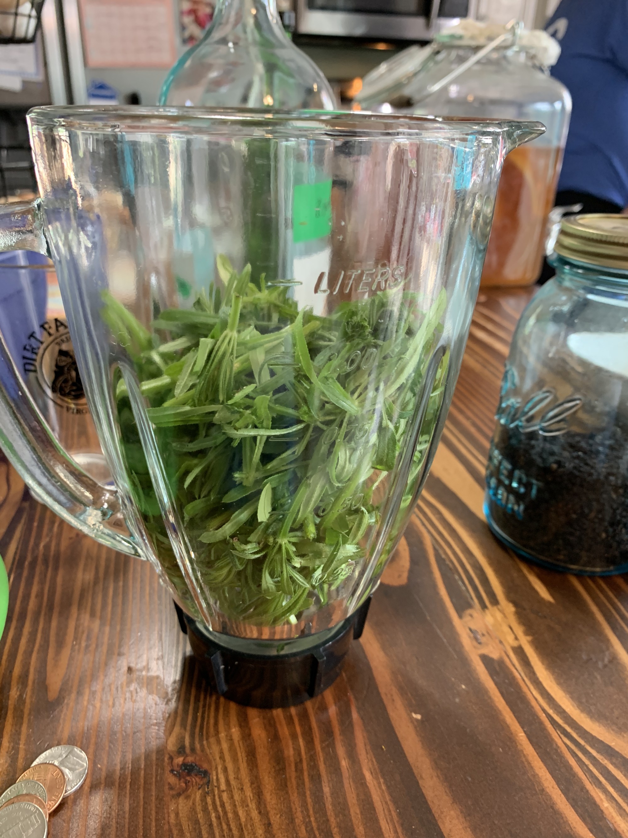 Cleavers Season: Harvesting, History, and Our Daily Spring Tonic – RJ ...