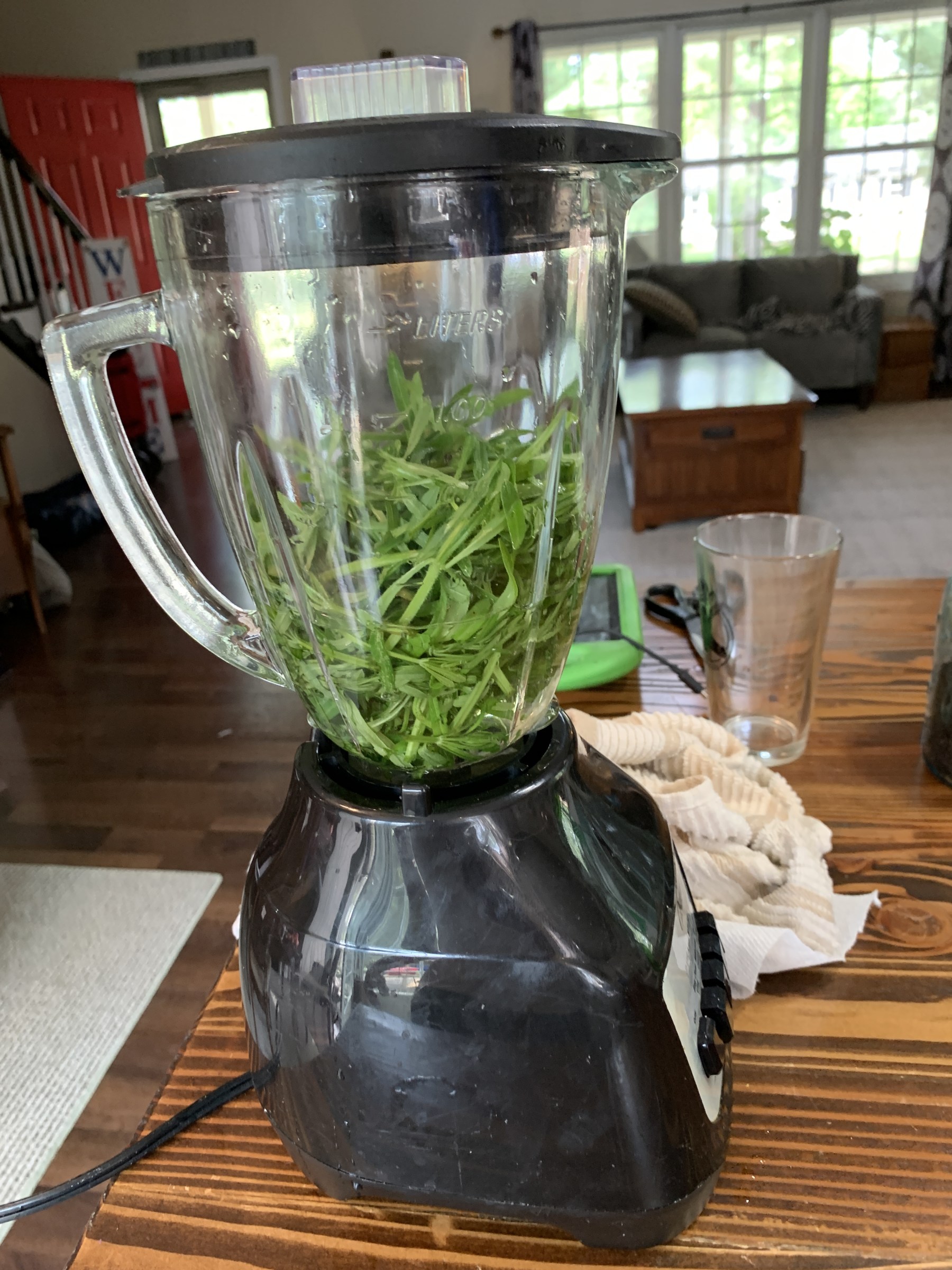 Cleavers Season: Harvesting, History, and Our Daily Spring Tonic – RJ ...