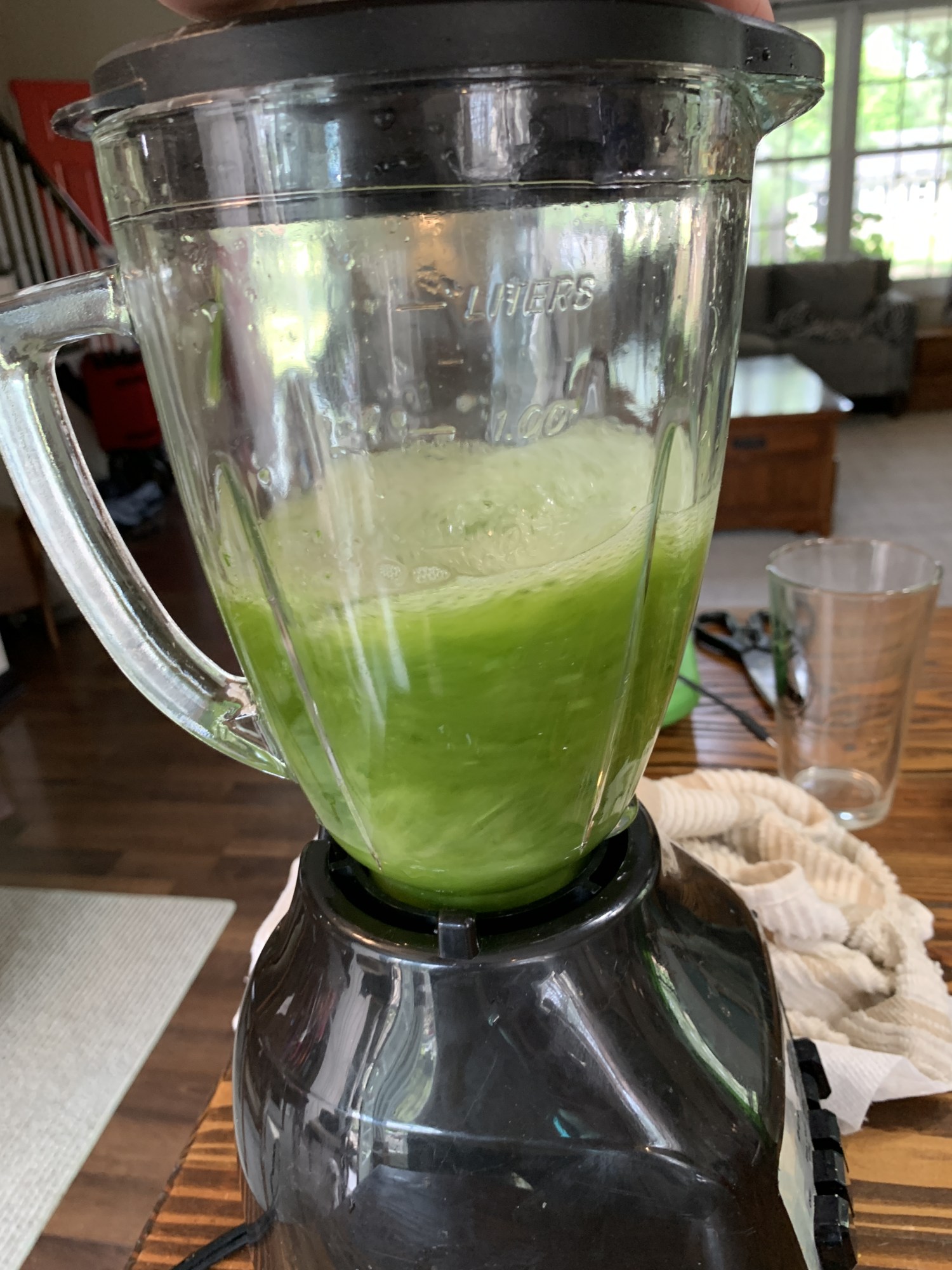 Cleavers Season: Harvesting, History, and Our Daily Spring Tonic – RJ ...