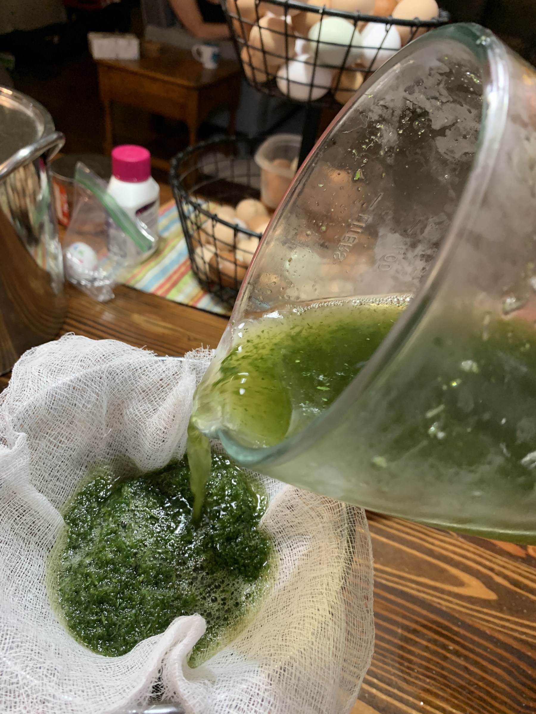 Cleavers Season: Harvesting, History, and Our Daily Spring Tonic – RJ ...